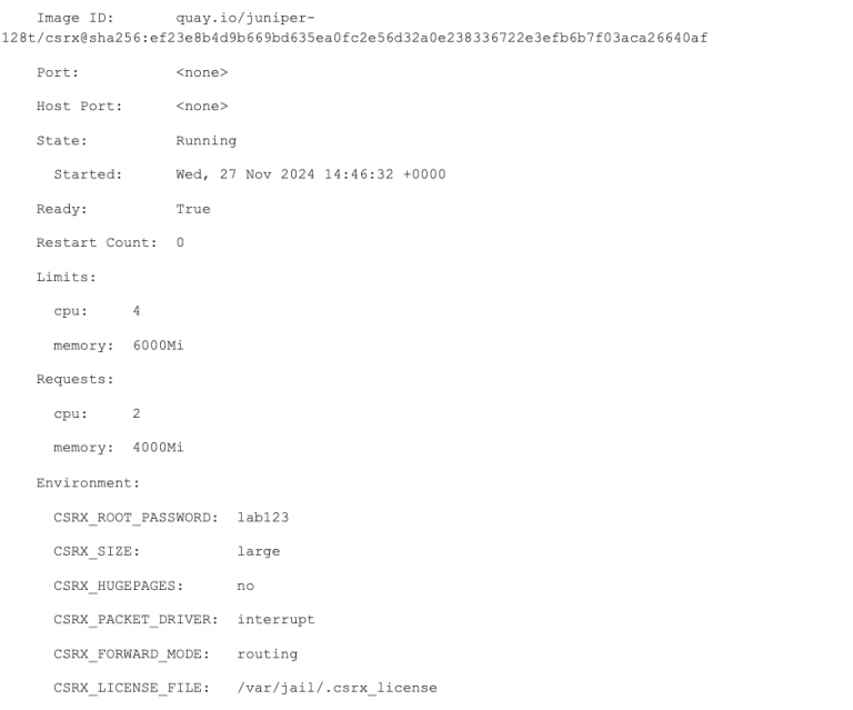 Fortifying your cloud-native infrastructure with cSRX and SUSE Rancher ...
